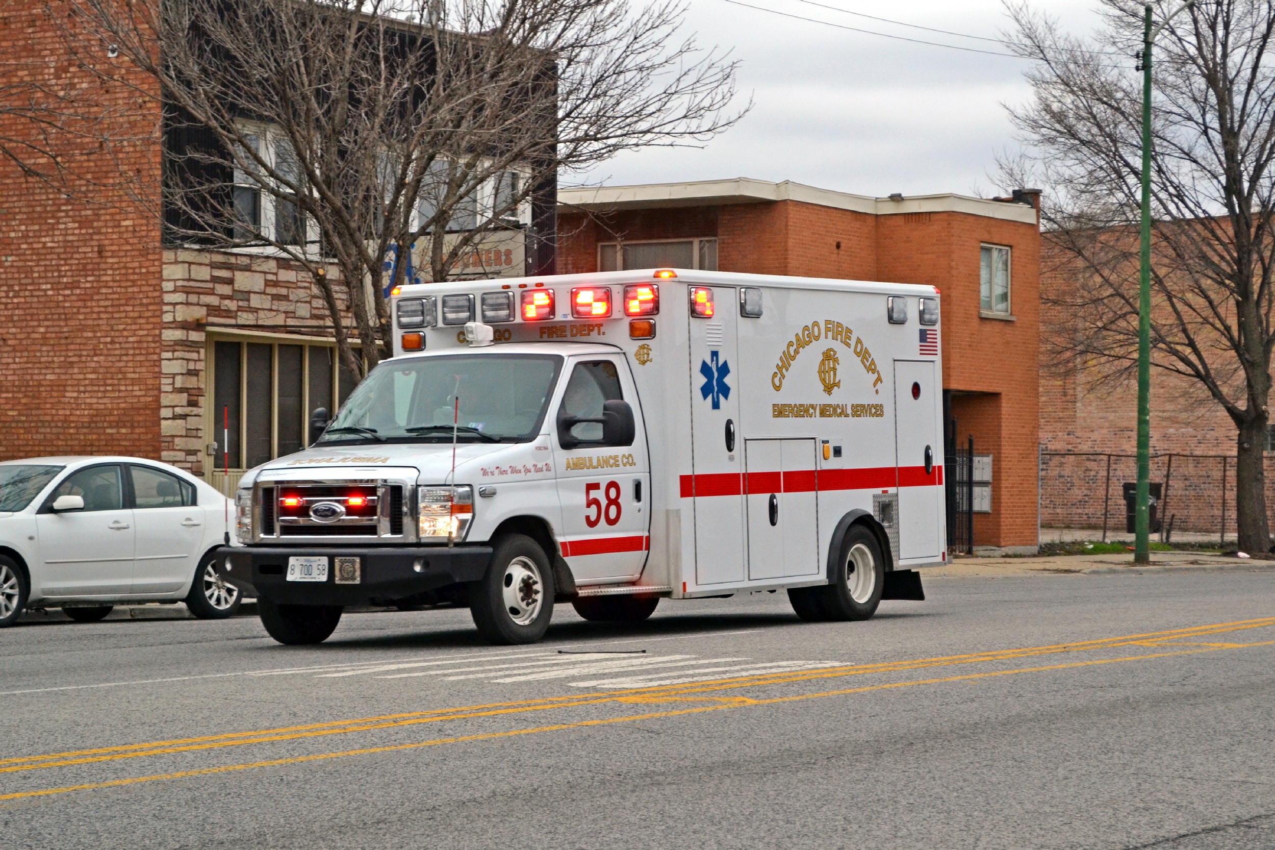 CFD 20th Battalion
